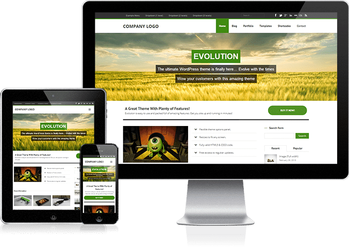 Evolution - Premium WordPress Theme