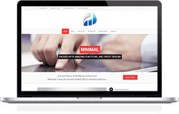 Minimal Pro - Premium WordPress Theme