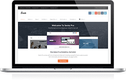 Sento Pro - Premium WordPress Theme